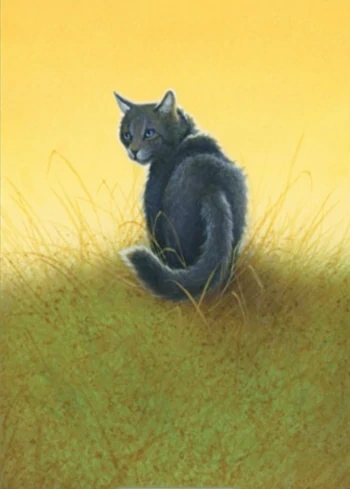 Cinderpelt | Heroes Wiki | Fandom