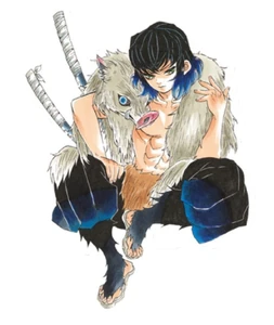 Inosuke Hashibira | Heroes Wiki | Fandom