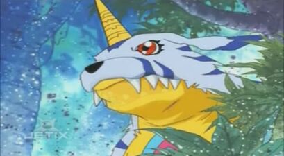 Gabumon (Adventure)/Gallery | Heroes Wiki | Fandom