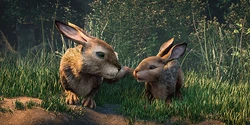 Hazel (Watership Down) | Heroes Wiki | Fandom
