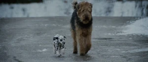 Lucky (101 Dalmatians) | Heroes Wiki | Fandom