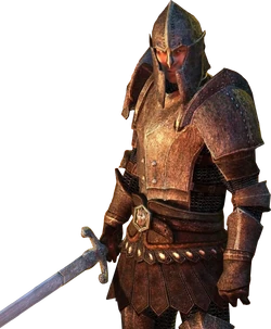Hero Of Kvatch Quotes
