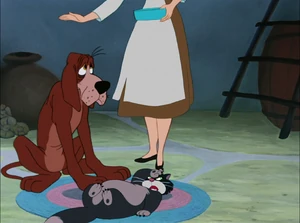 Bruno (Cinderella)/Gallery | Heroes Wiki | Fandom