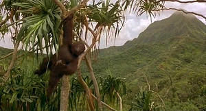 Mighty Joe Young | Heroes Wiki | Fandom