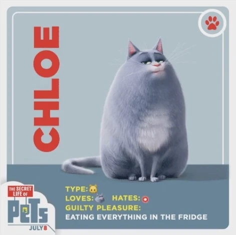 Chloe (The Secret Life of Pets)/Gallery | Heroes Wiki | Fandom