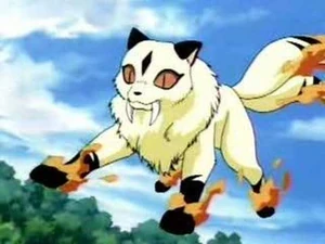 Kirara (Inuyasha)/Gallery | Heroes Wiki | Fandom