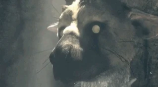 Trico | Heroes Wiki | Fandom