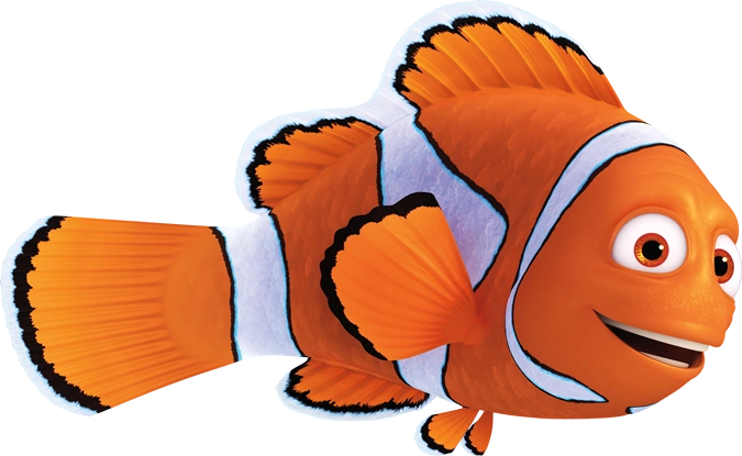 Marlin Findet Nemo Zeichnung