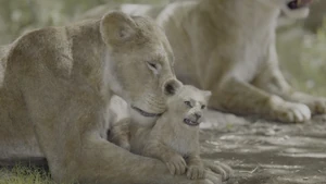Nala (remake) | Heroes Wiki | Fandom