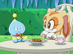 Cream the Rabbit (Sonic X)/Gallery | Heroes Wiki | Fandom