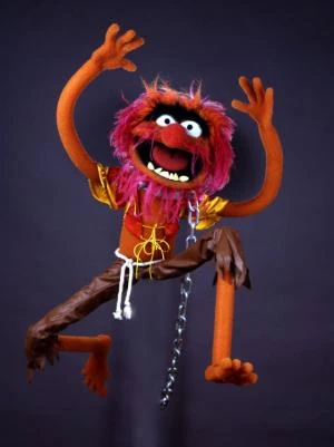 Animal (Muppets) | Heroes Wiki | Fandom