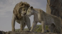 Nala Heroes Wiki Fandom Powered By Wikia