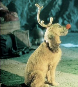 Max (How the Grinch Stole Christmas) | Heroes Wiki | Fandom