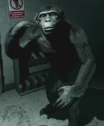 Spear (Planet of the Apes) | Heroes Wiki | Fandom