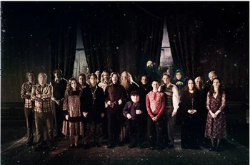 Order of the Phoenix | Heroes Wiki | Fandom