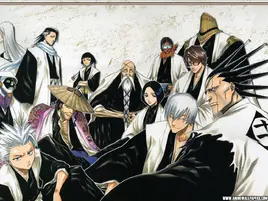 Gotei 13 | Heroes Wiki | Fandom