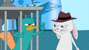 Perry the Platypus | Heroes Wiki | Fandom