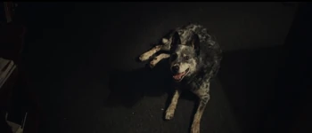 Runt (Runt) | Heroes Wiki | Fandom