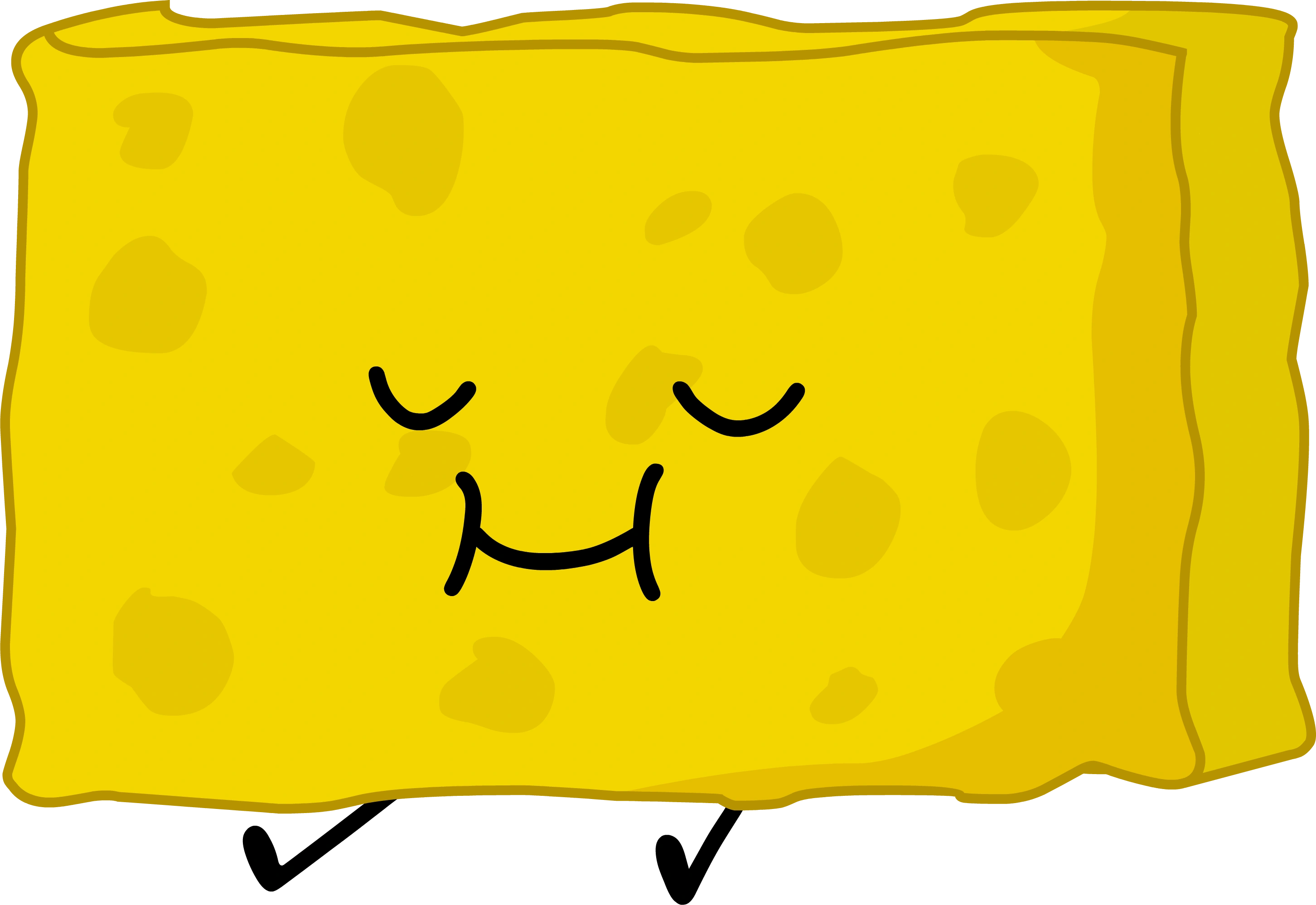 Bfdi Spongy