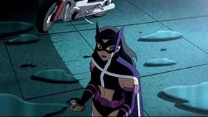 Huntress (DC Animated Universe)/Gallery | Heroes Wiki | Fandom