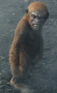 Suko | Heroes Wiki | Fandom