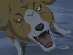 Rocket (Ginga Legend Weed) | Heroes Wiki | Fandom