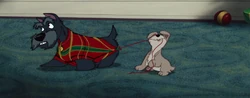 Scamp | Heroes Wiki | Fandom