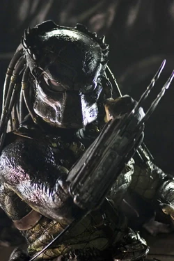 predator wolf x reader