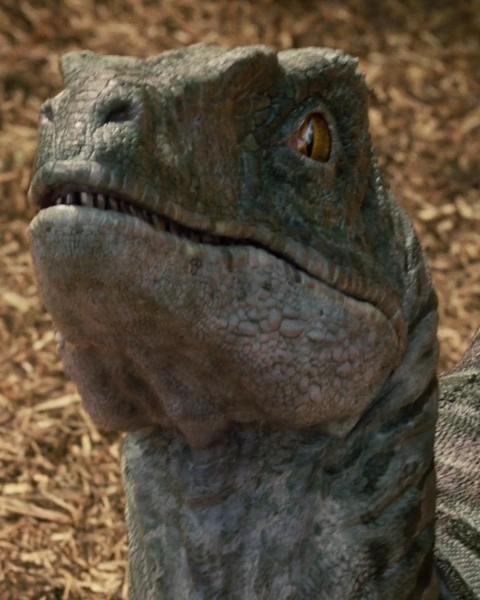 Real Jurassic World Velociraptor Charlie
