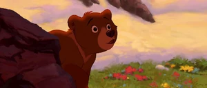 Koda (Brother Bear)/Gallery | Heroes Wiki | Fandom