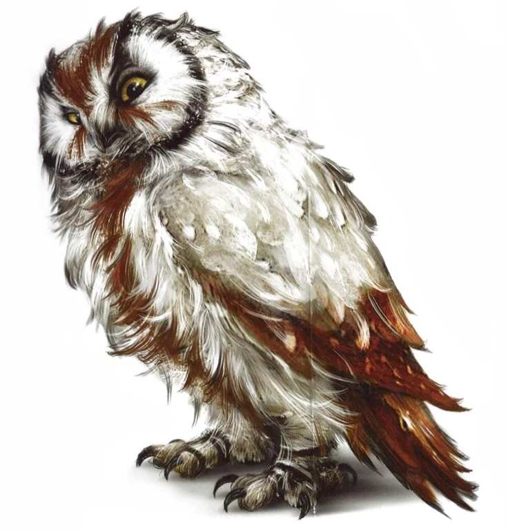 Grimble | Heroes Wiki | Fandom