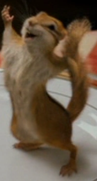 Pip (Enchanted) | Heroes Wiki | Fandom