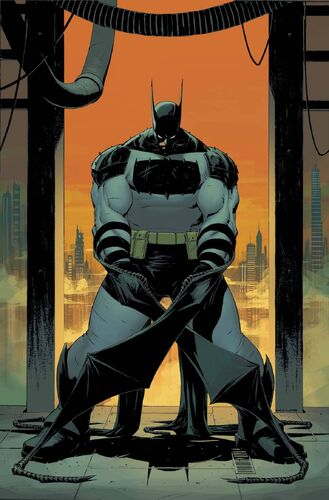 Batman Absolute Universe Heroes Wiki Fandom