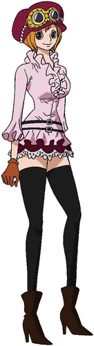 Koala (One Piece) | Heroes Wiki | Fandom