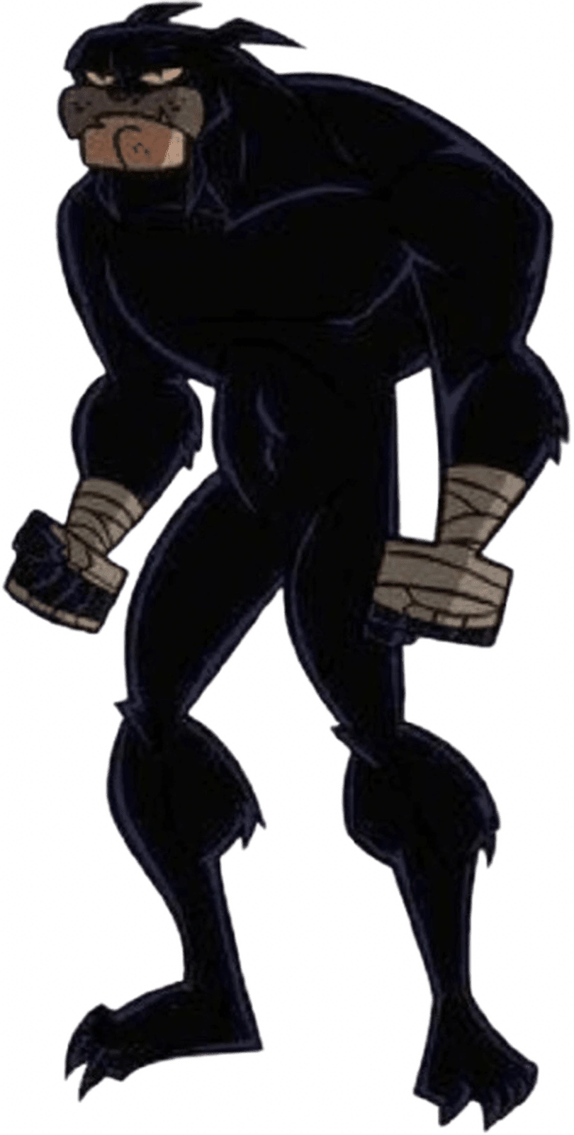 Wildcat (Batman: The Brave and The Bold) | Heroes Wiki | Fandom