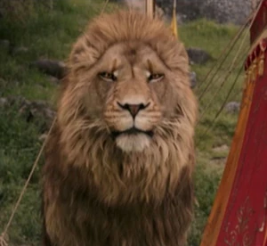 Aslan | Heroes Wiki | Fandom