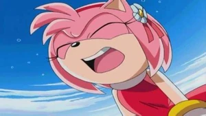 Amy Rose (Sonic X)/Gallery | Heroes Wiki | Fandom