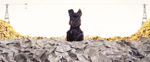 Chief (Isle of Dogs) | Heroes Wiki | Fandom