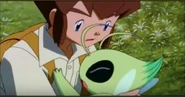 Celebi | Heroes Wiki | Fandom