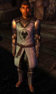 City Watch | Heroes Wiki | Fandom
