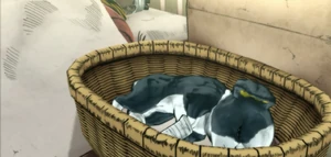 Iggy (JoJo's Bizarre Adventure)/Gallery | Heroes Wiki | Fandom