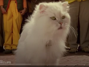 Snowbell/Gallery | Heroes Wiki | Fandom