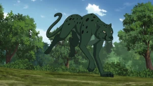 Beast Boy (DC Animated Movie Universe)/Gallery | Heroes Wiki | Fandom