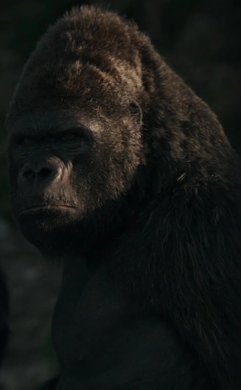 Luca (Planet of the Apes) | Heroes Wiki | Fandom