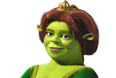 Principessa Fiona Shrek 2 2004 Hasbro Shrek 2 PRINCESS FIONA Spin Kick