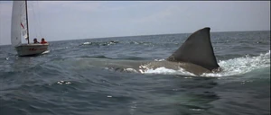 Marge (Jaws)/Gallery | Heroes Wiki | Fandom