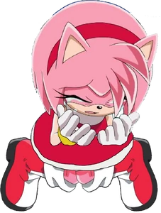 Amy Rose (Sonic X)/Gallery | Heroes Wiki | Fandom