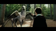Buckbeak | Heroes Wiki | Fandom