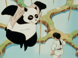 Ranma Saotome/Gallery | Heroes Wiki | Fandom