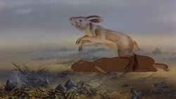 Hazel (Watership Down) | Heroes Wiki | Fandom